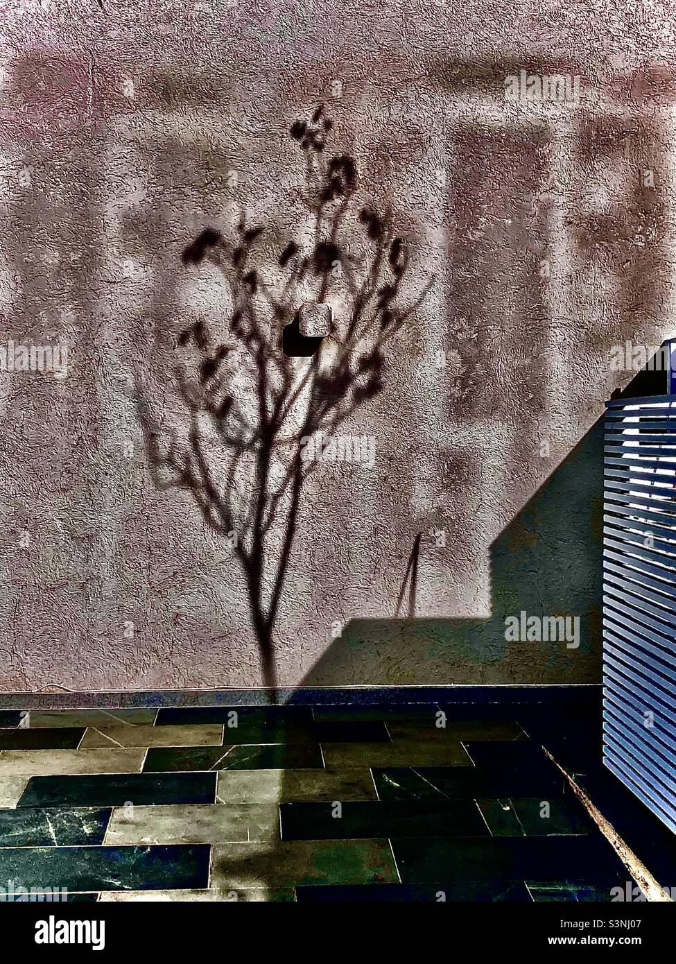 Shadows on wall hi-res stock photography and images - Alamy