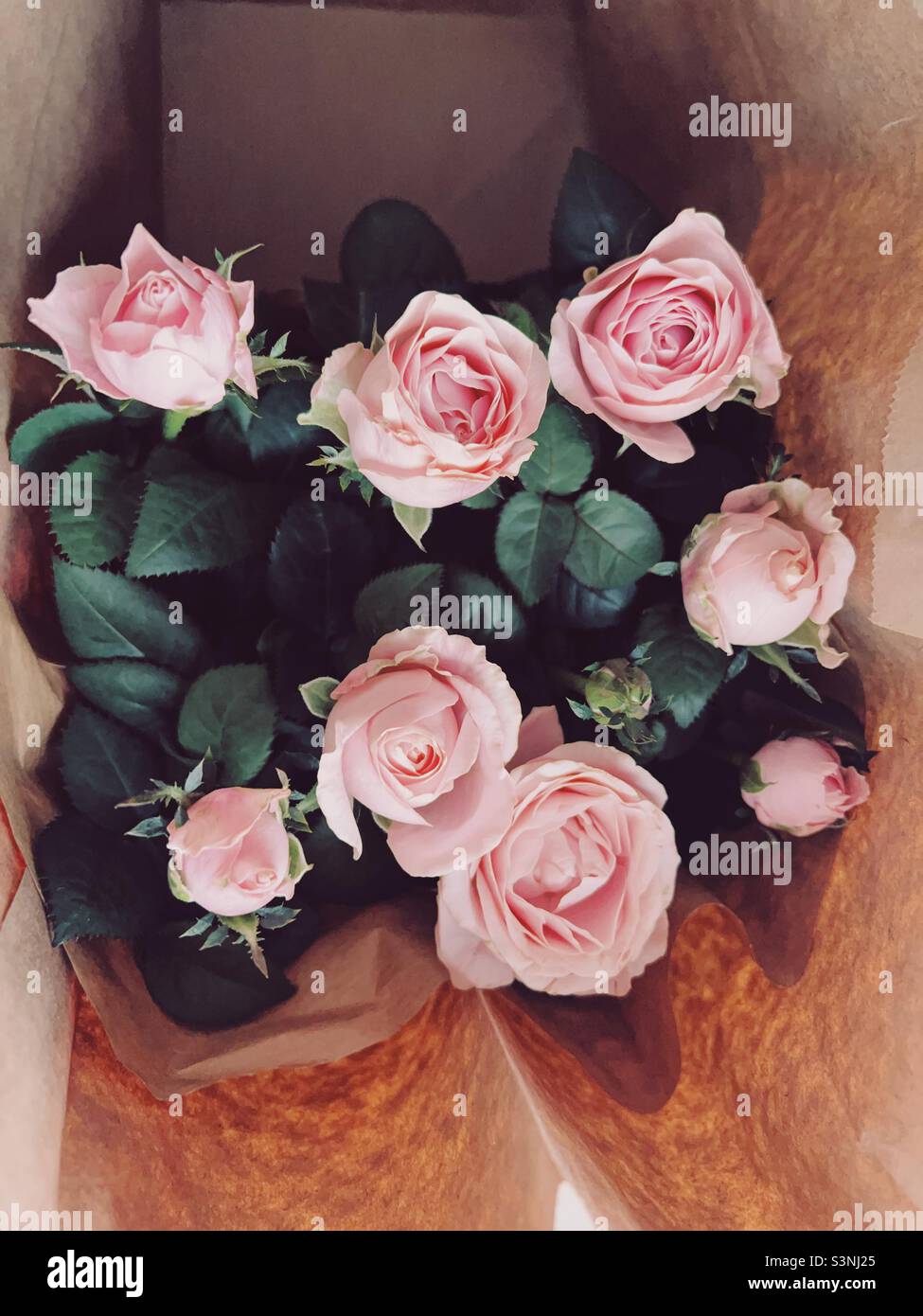 Bunch of pink roses hi-res stock photography and images - Alamy