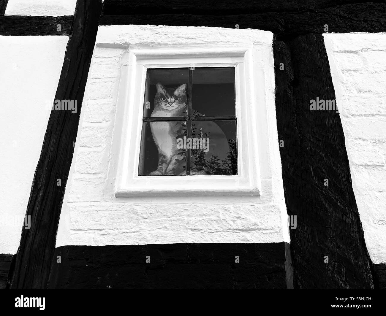 Picture of a cats at in a window of a Tudor property Stock Photo - Alamy
