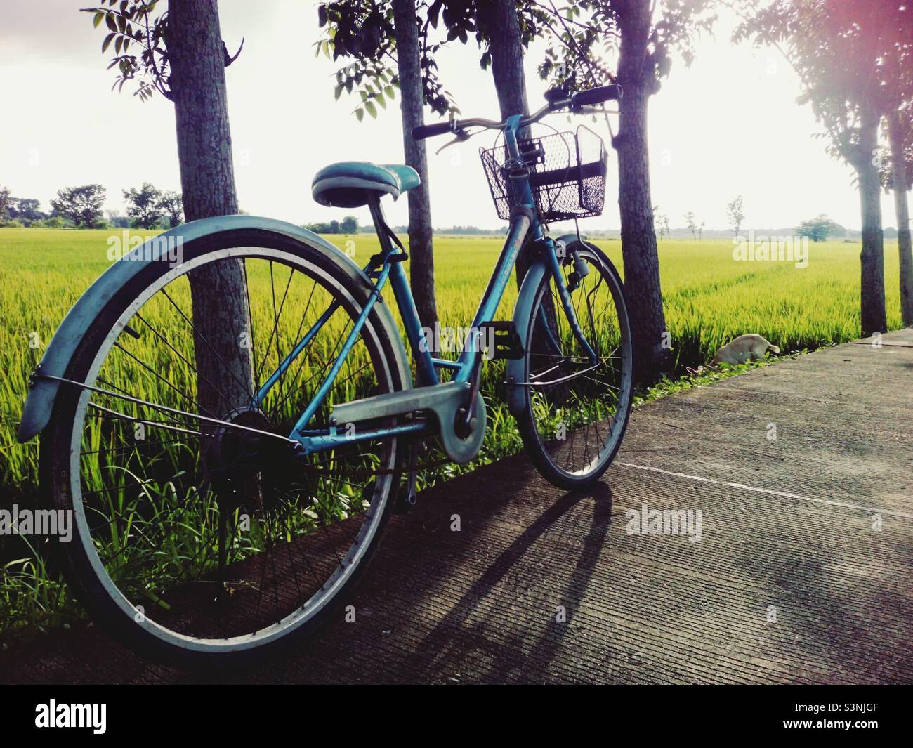 Gods creation hi-res stock photography and images - Alamy