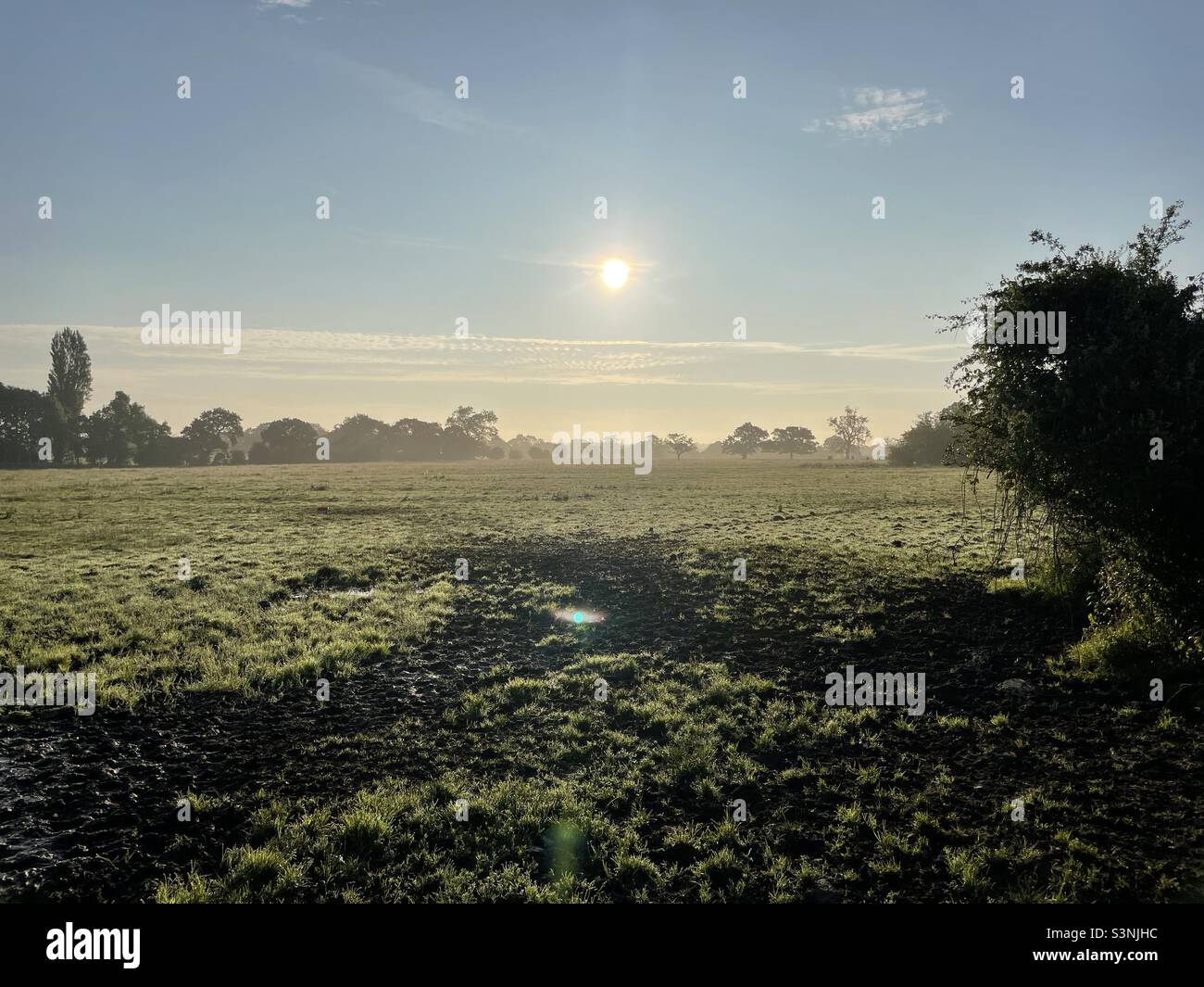 Sunshine across misty field Stock Photo - Alamy
