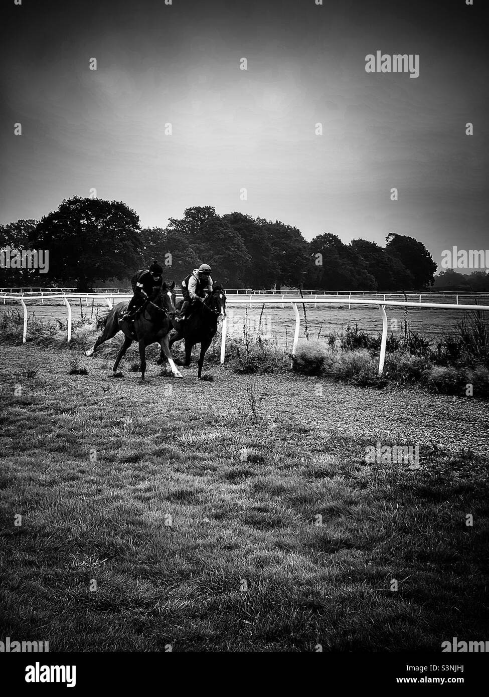 On the Gallops Stock Photo - Alamy