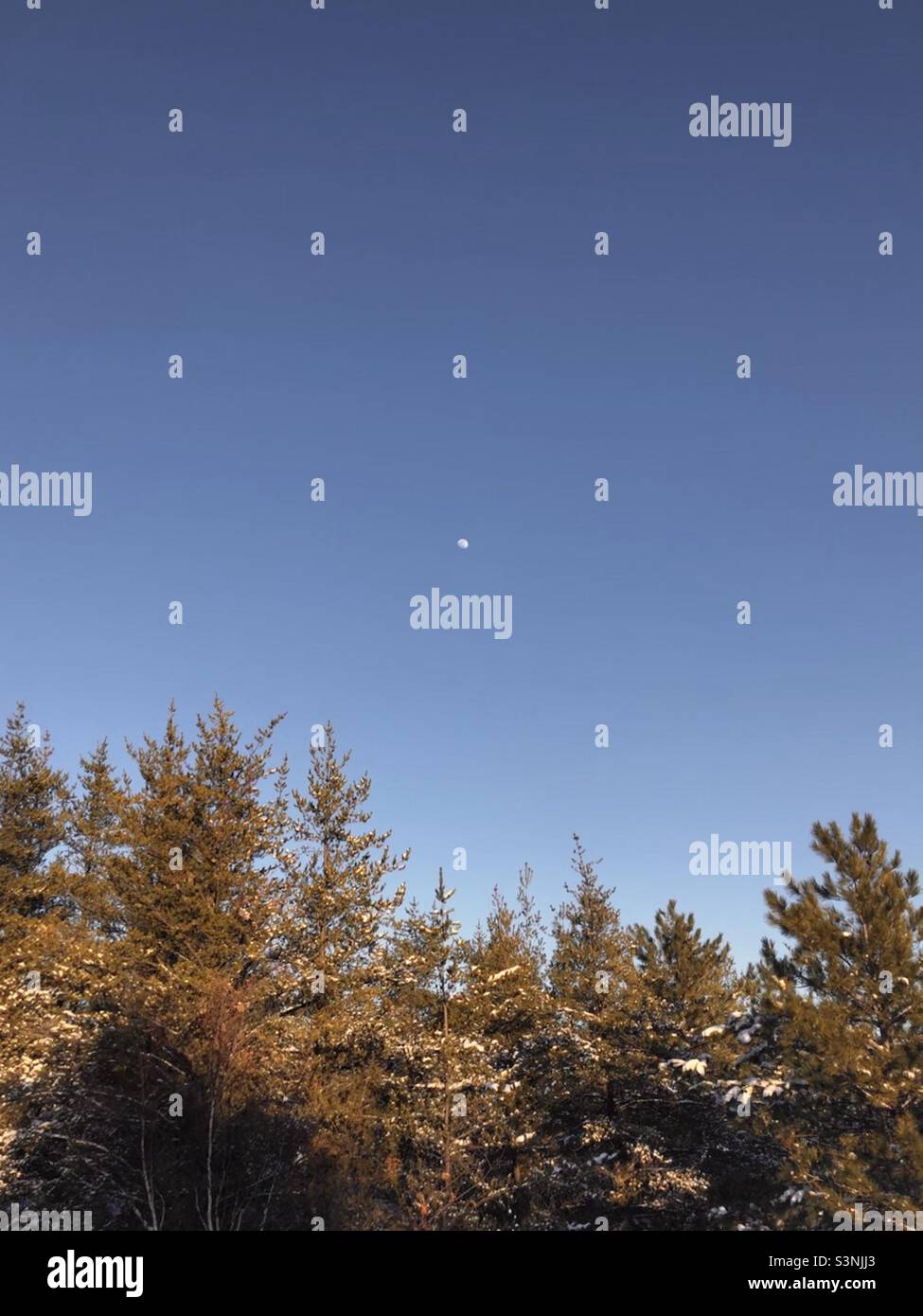 Moon at midday hi-res stock photography and images - Alamy