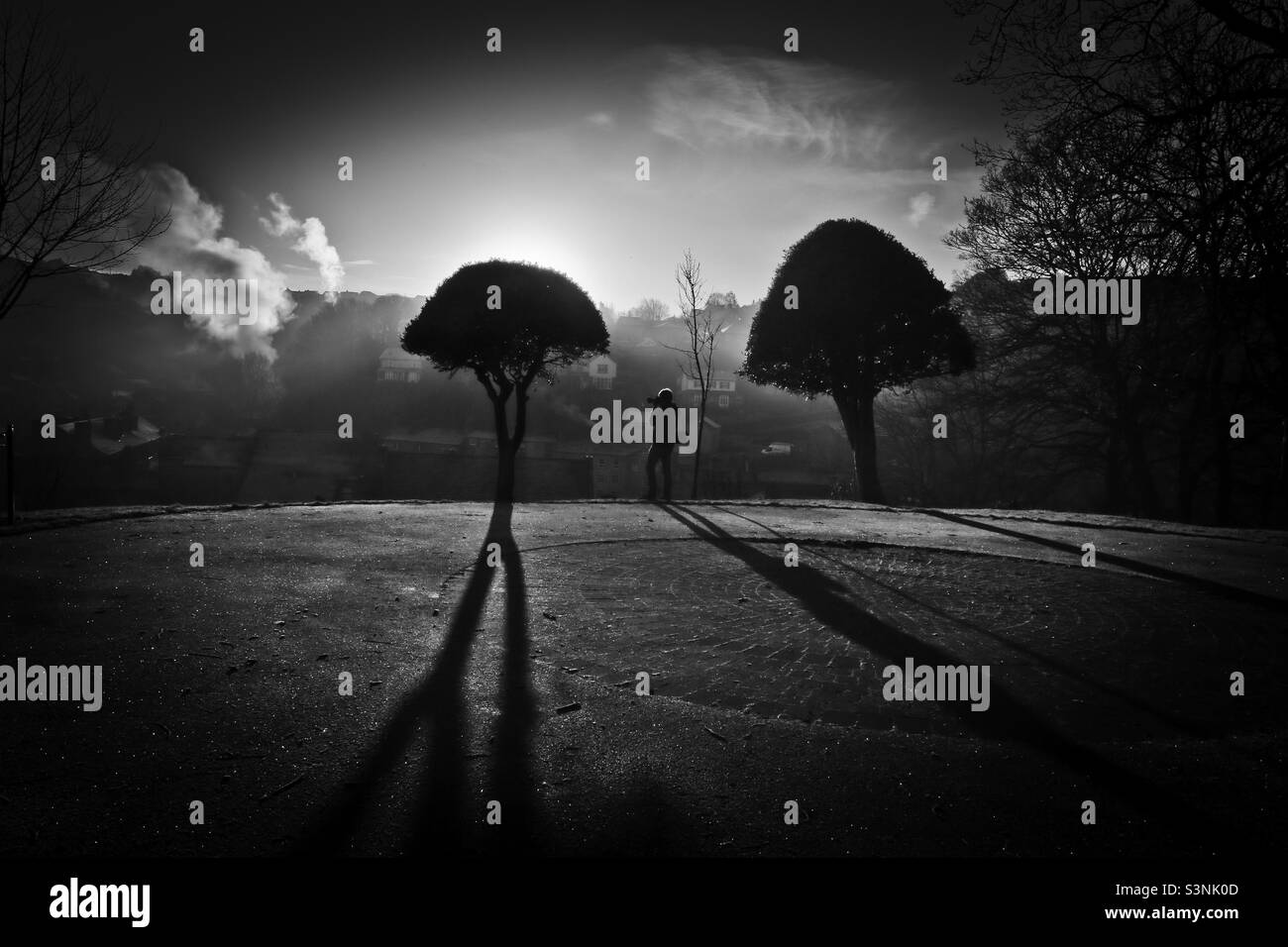 Early winter’s morning long shadows between two park trees as a ...