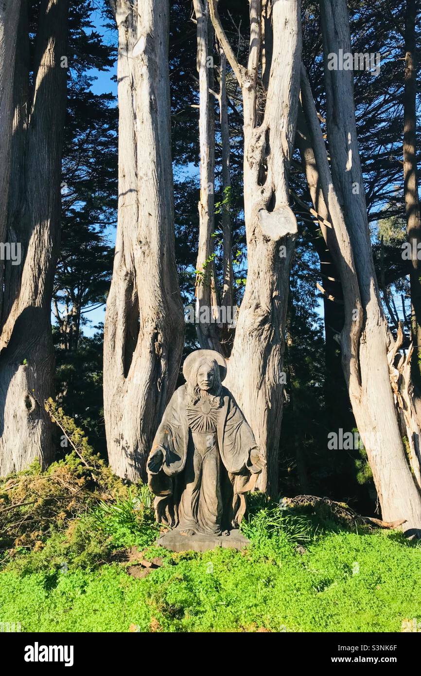 Carved wood Saint in a forest Stock Photo - Alamy