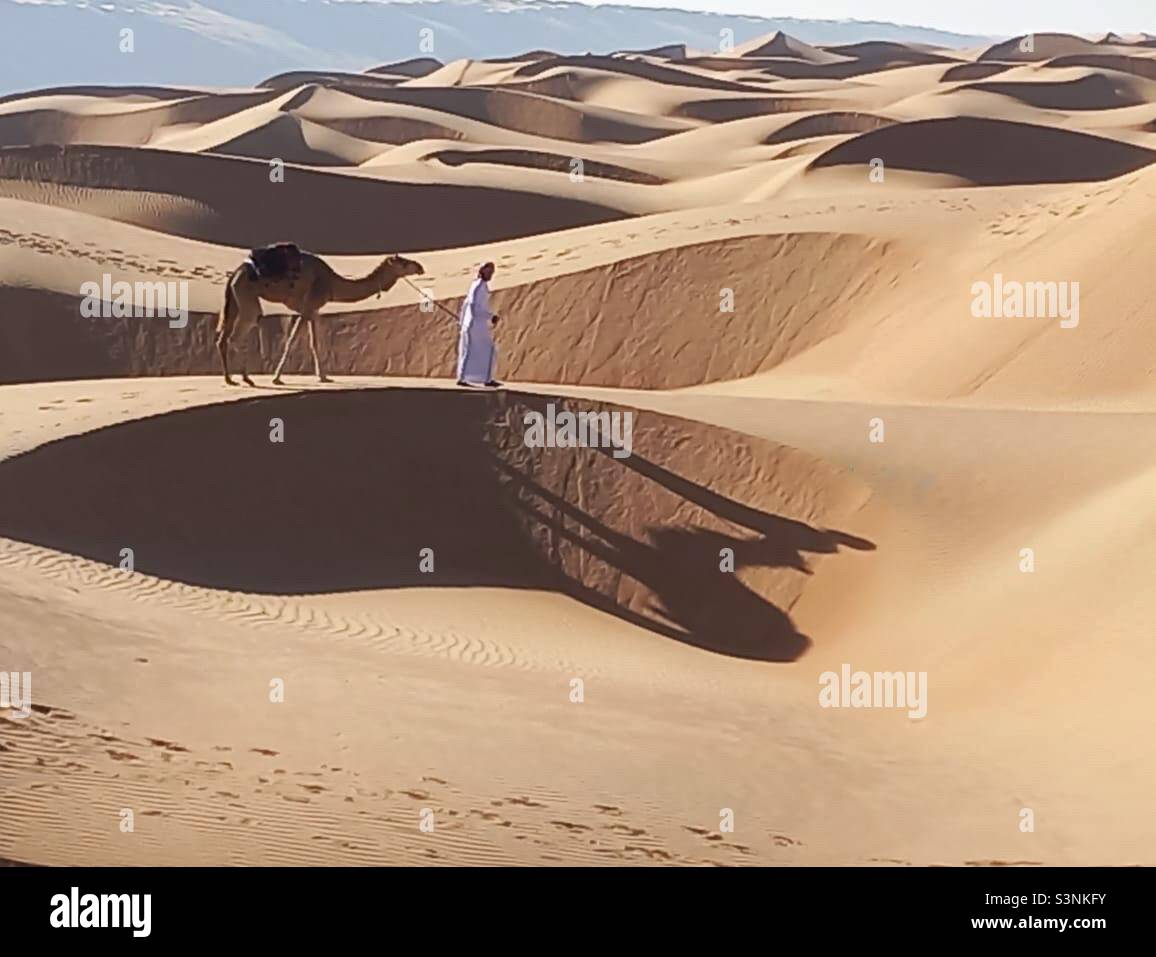 Smooth walking hi-res stock photography and images - Alamy