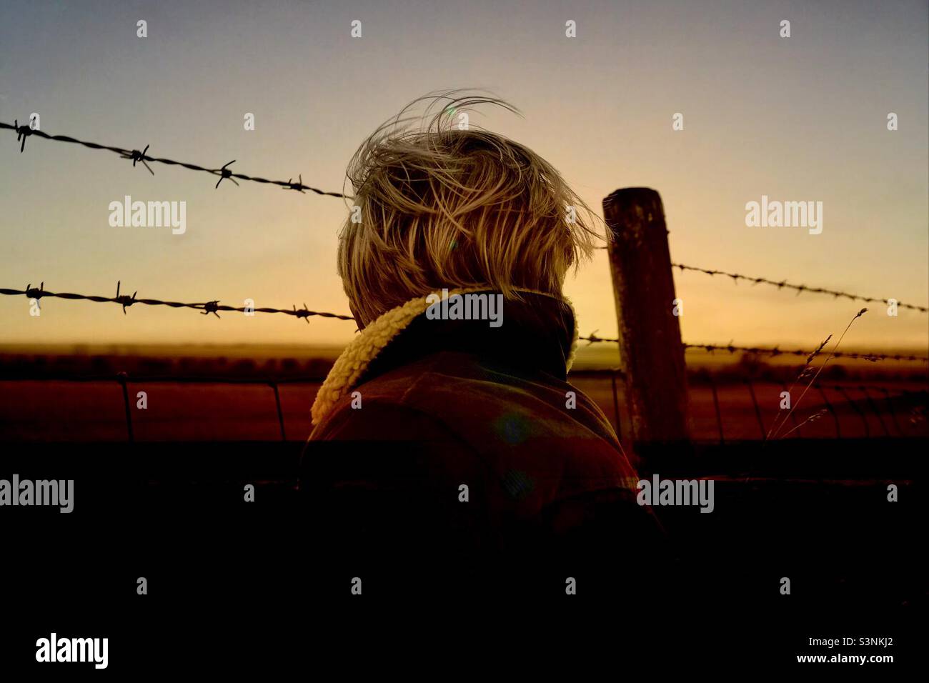 Broody Boy Too Stock Photo - Alamy