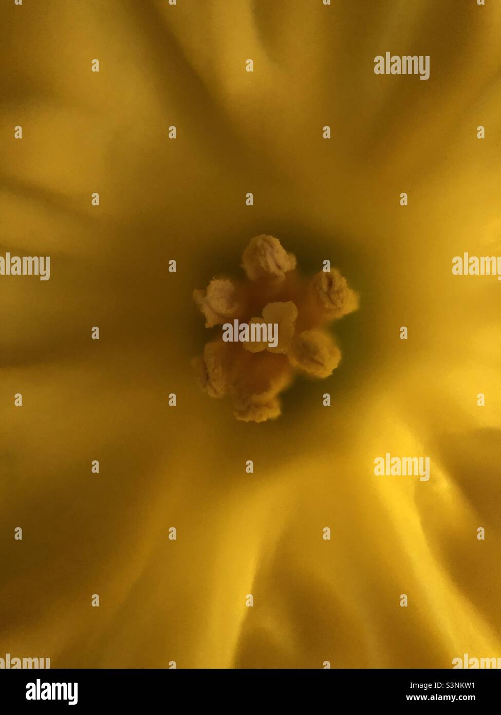 Stames hi-res stock photography and images - Alamy