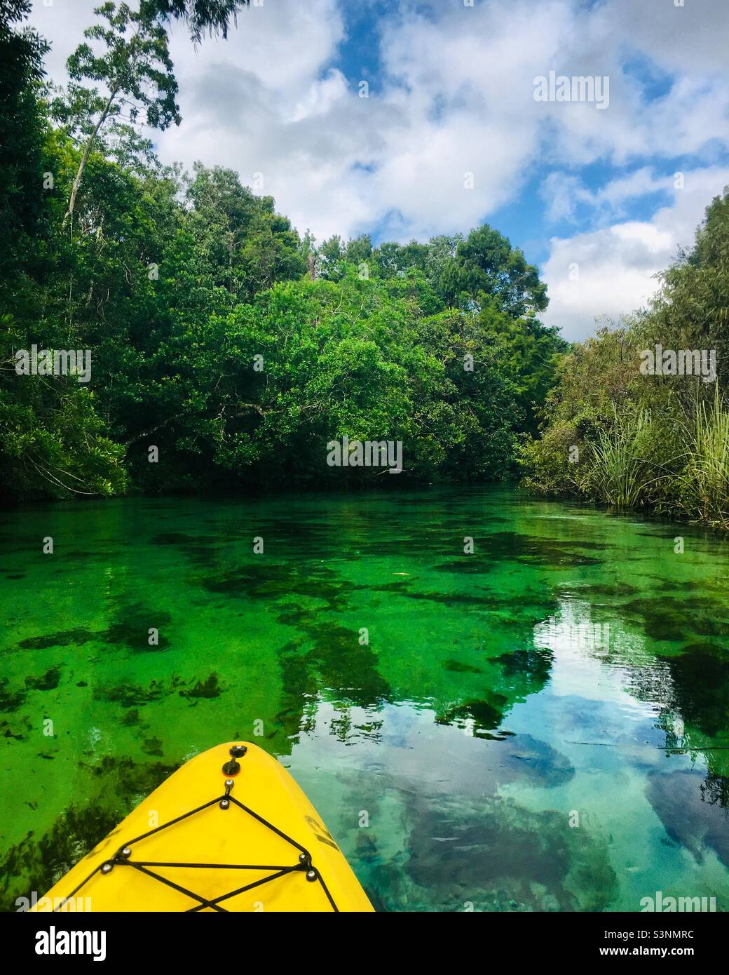 Weeki hi-res stock photography and images - Alamy