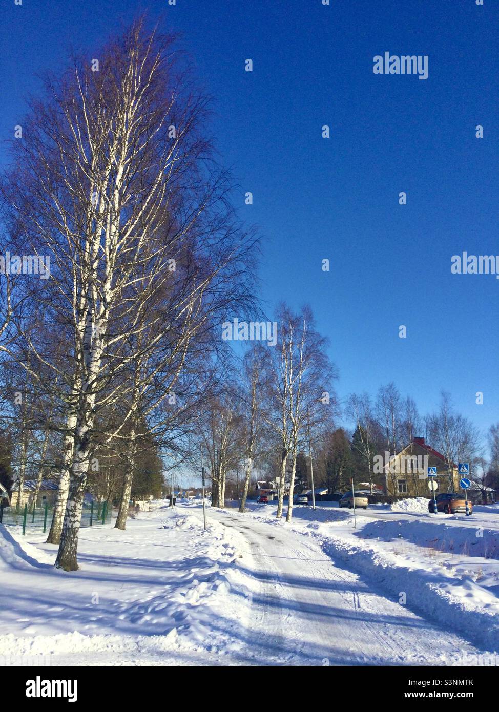 Wintry trees hi-res stock photography and images - Alamy