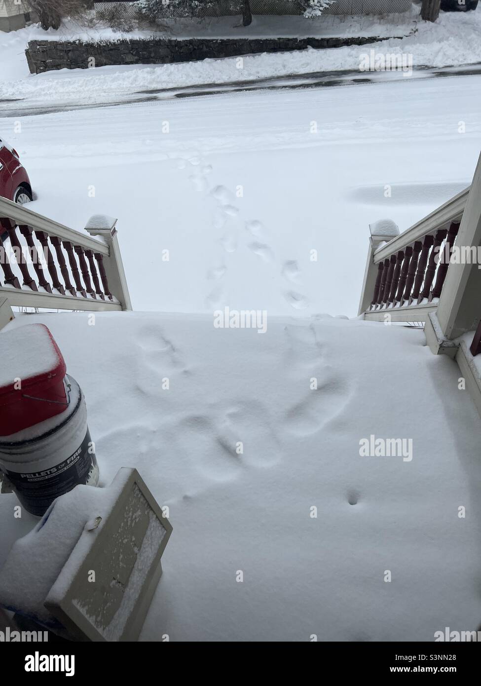 Footsteps on steps of house snow Massachusetts snow storm Stock Photo ...