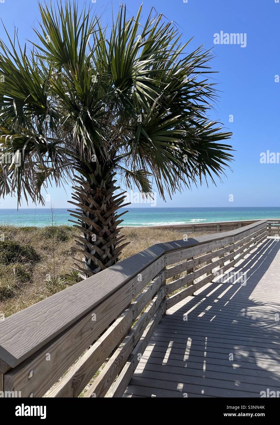 Rosa beach mexico hi-res stock photography and images - Alamy