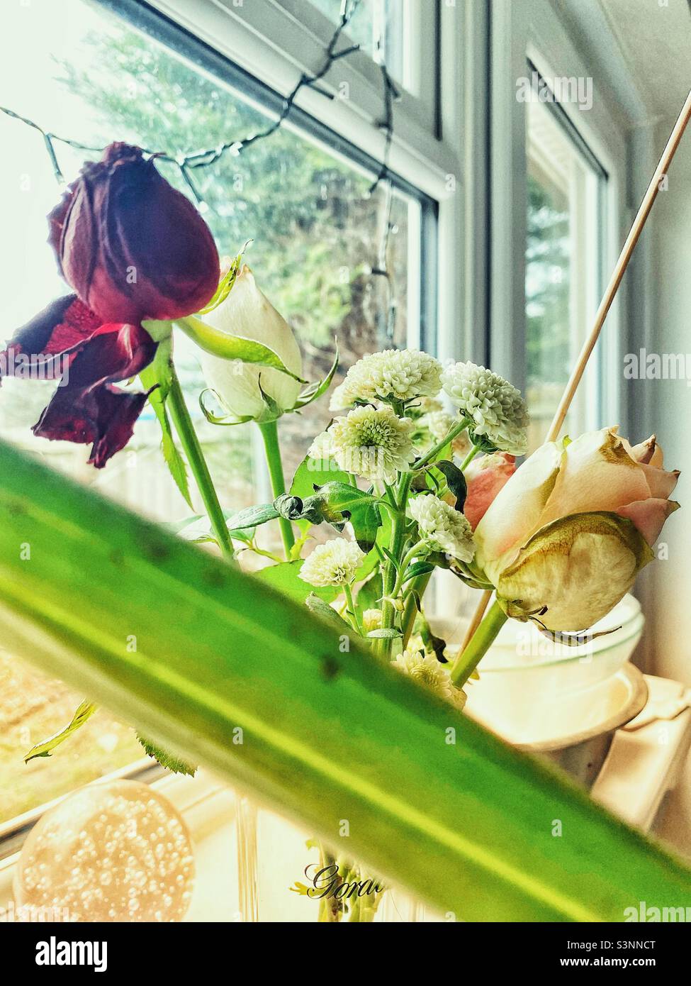 Wilting red flowers hi-res stock photography and images - Alamy