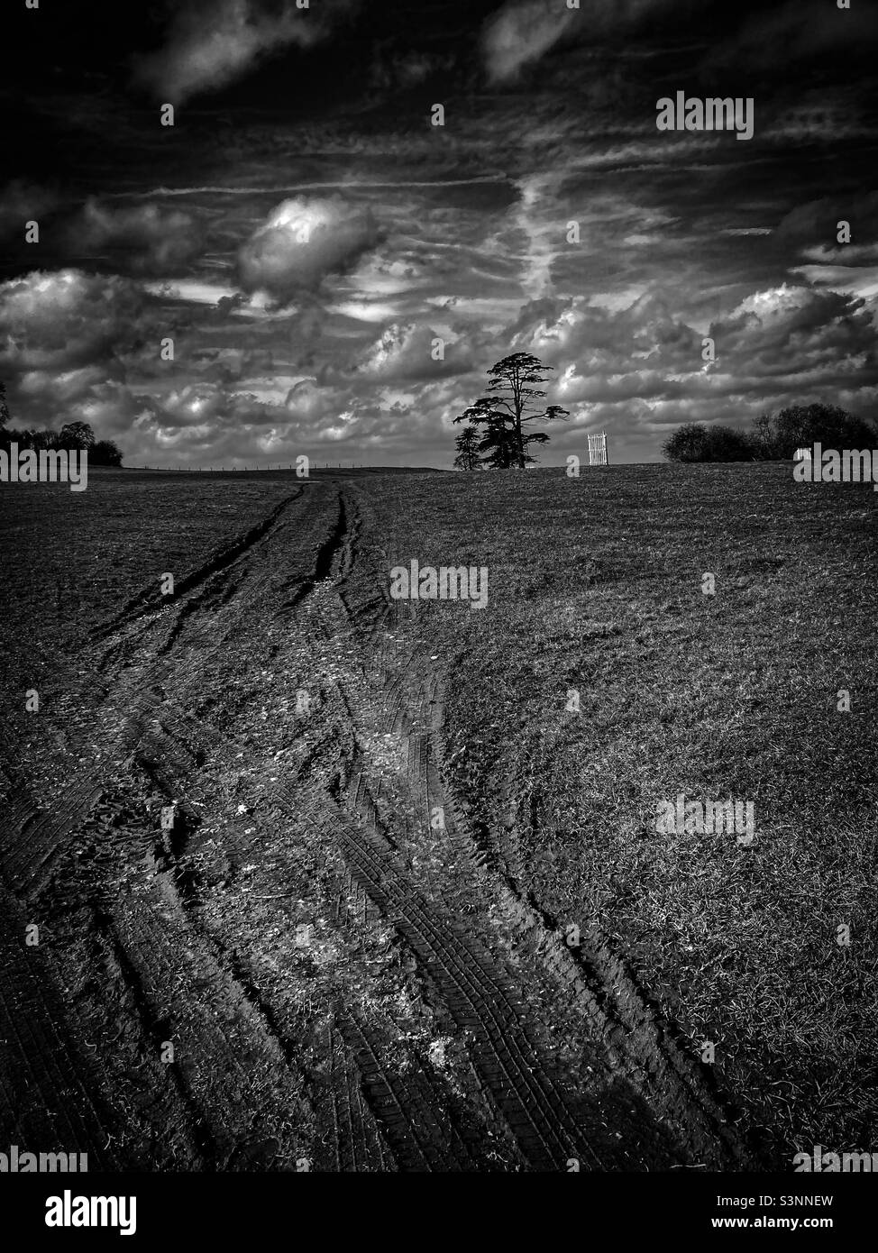 Black and white landscape with tree Stock Photo - Alamy