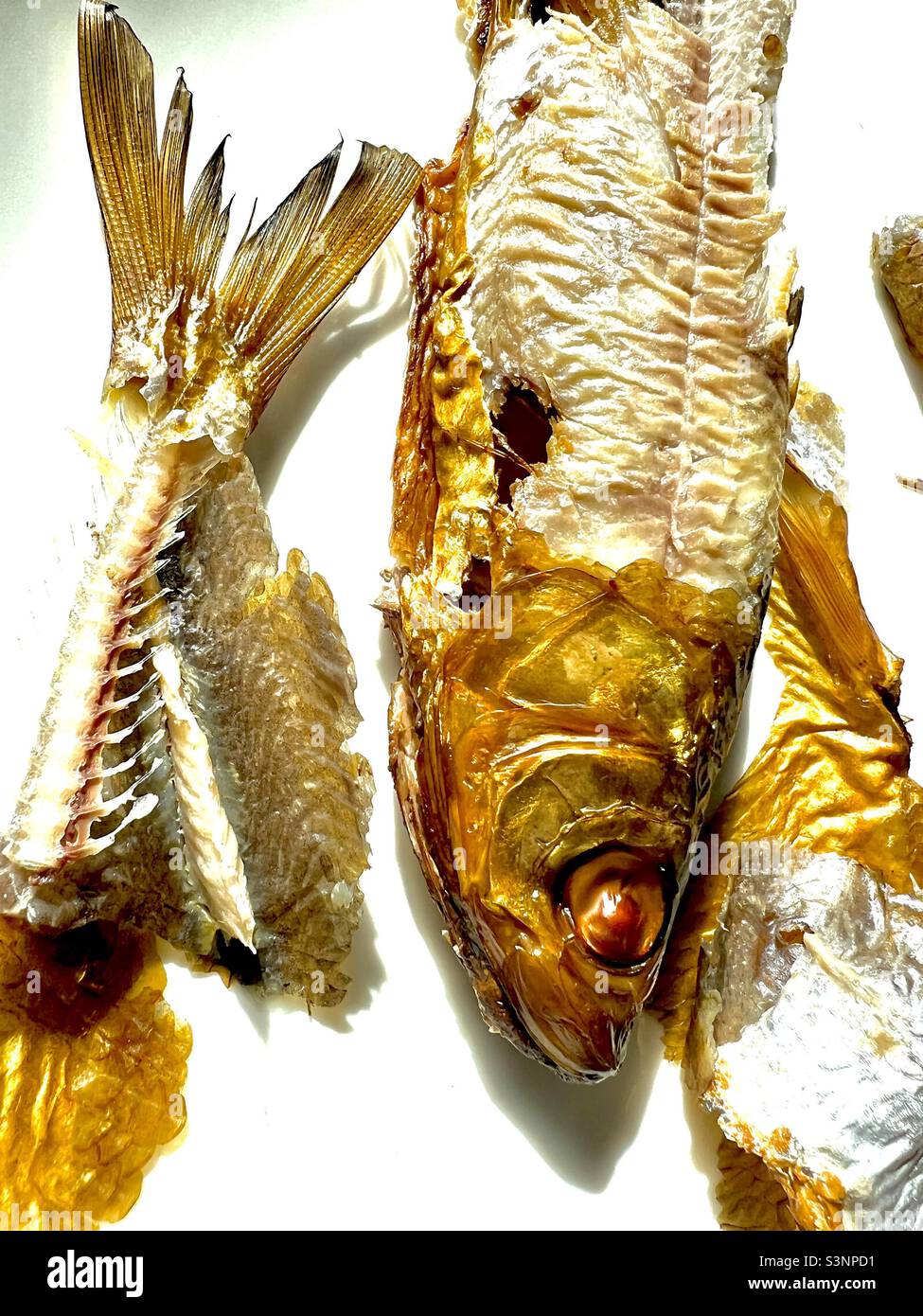 Leftovers of fish hi-res stock photography and images - Alamy