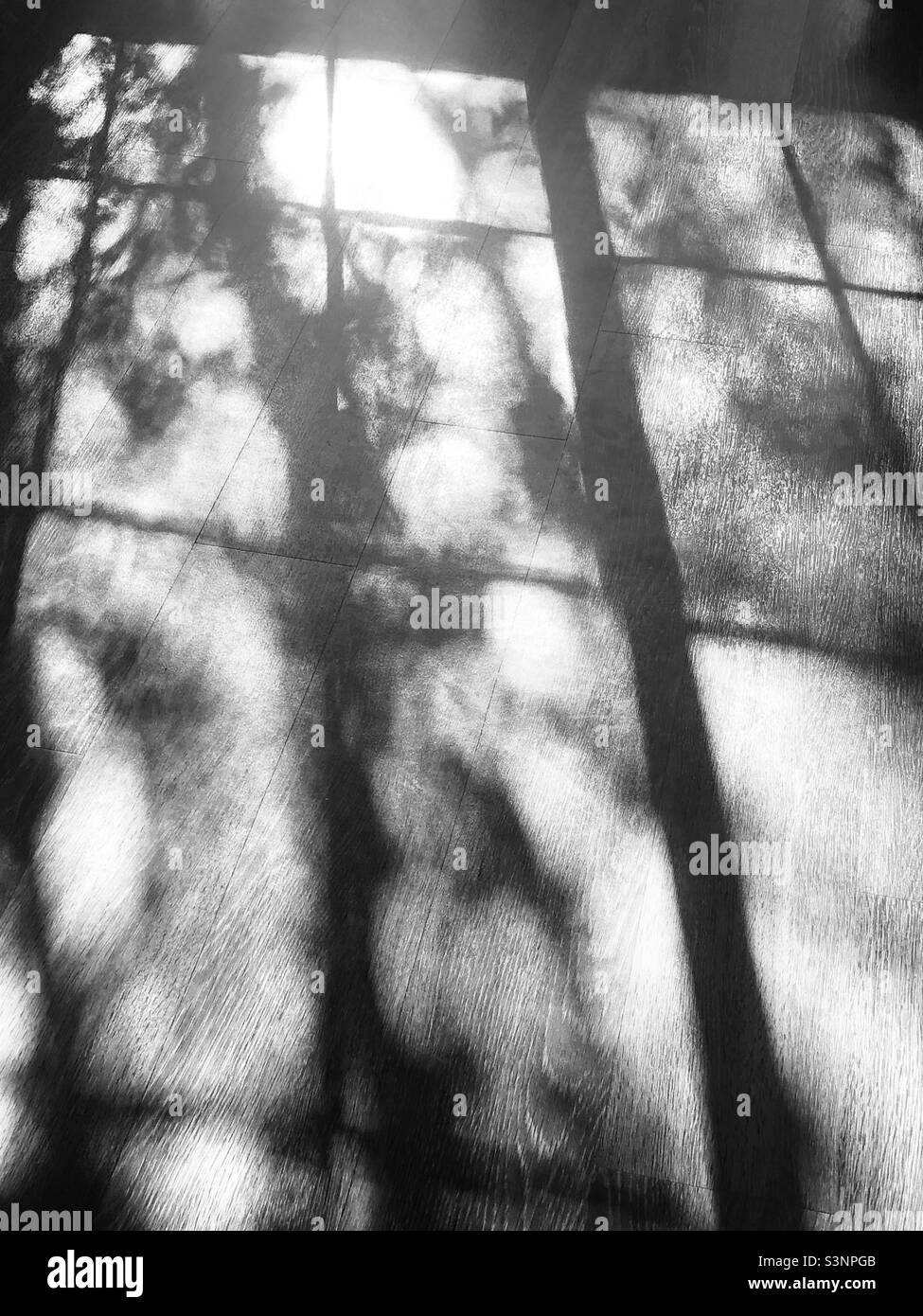 Spooky shadows hi-res stock photography and images - Alamy