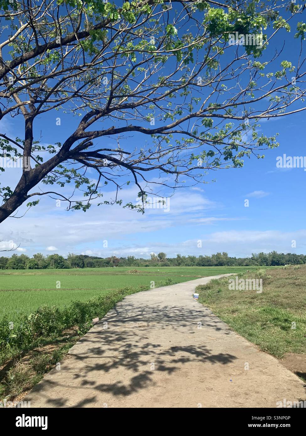 Bulacan philippines hi-res stock photography and images - Alamy
