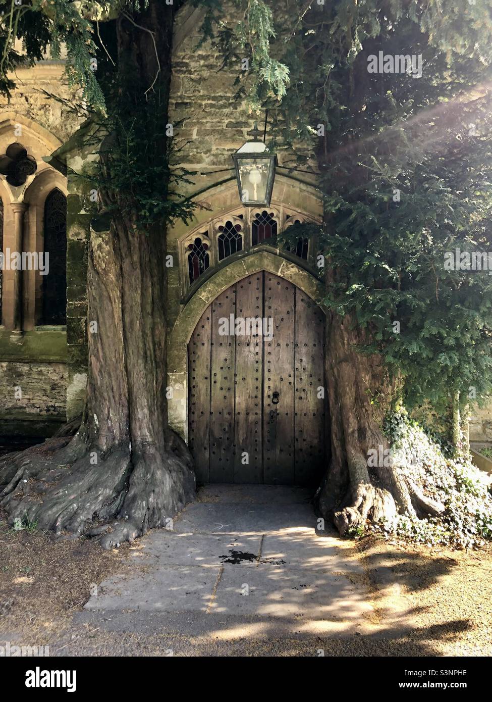 Church door sunken in trees Stock Photo - Alamy