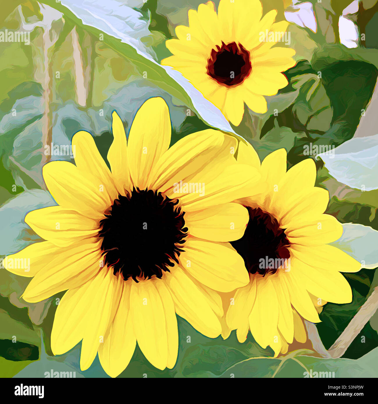 Sunflowers. Digital art Stock Photo - Alamy