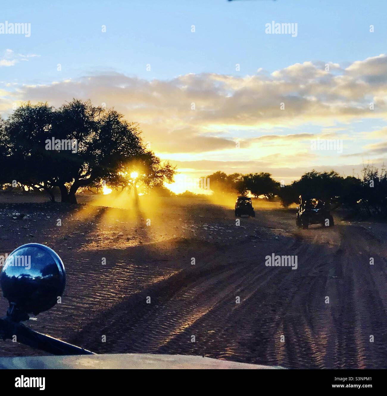 Buggy safari hi-res stock photography and images - Alamy