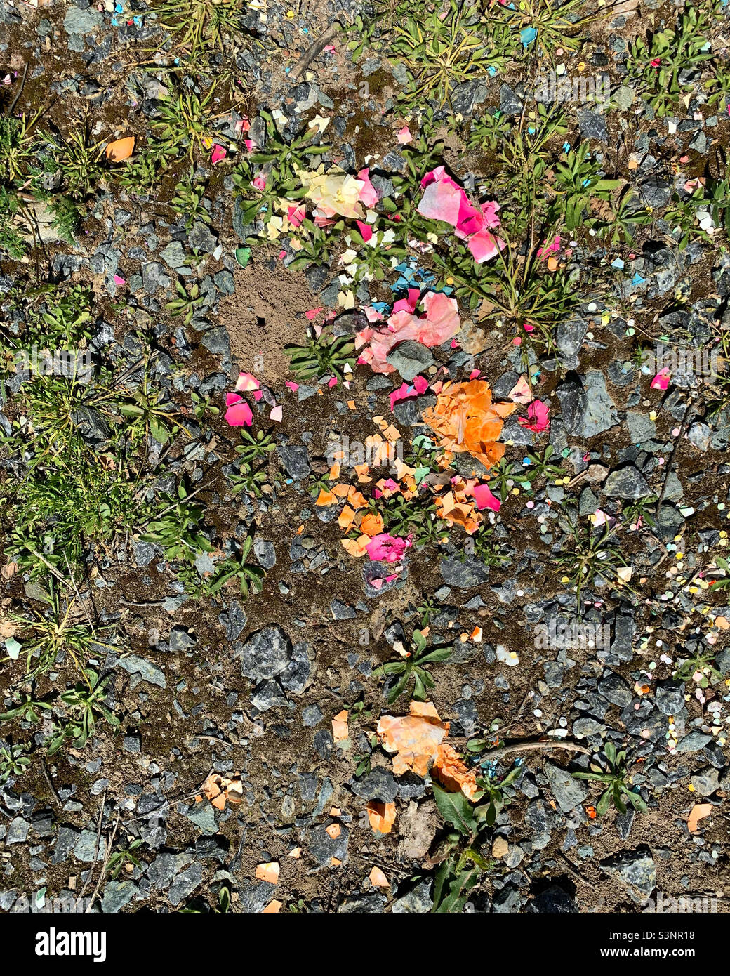 Leftover flowers hi-res stock photography and images - Alamy