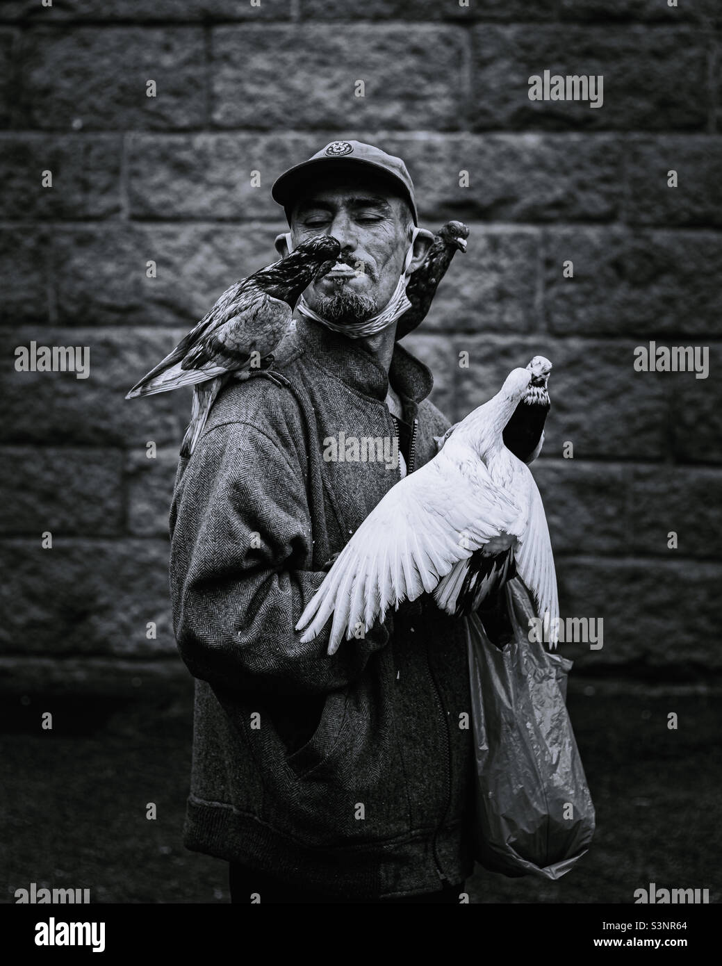 Homeless pigeons hi-res stock photography and images - Alamy