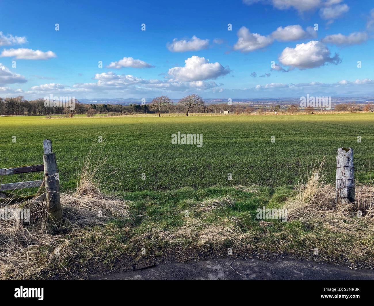 Gate into field with freshly planted crops Stock Photo - Alamy