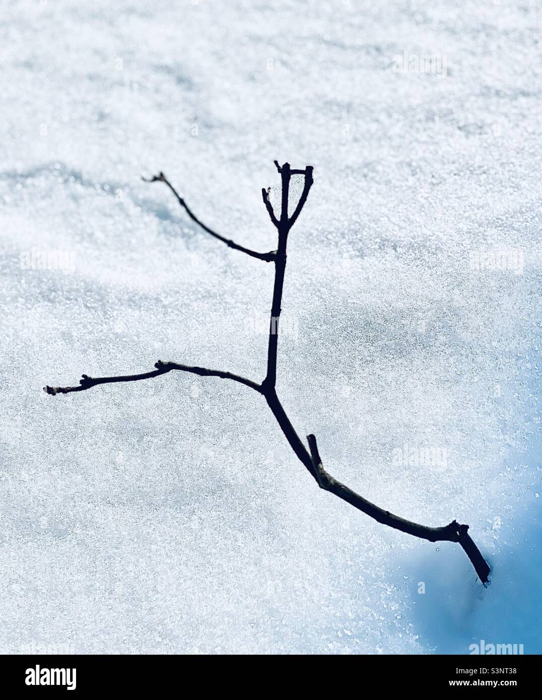 Snow stick hi-res stock photography and images - Alamy