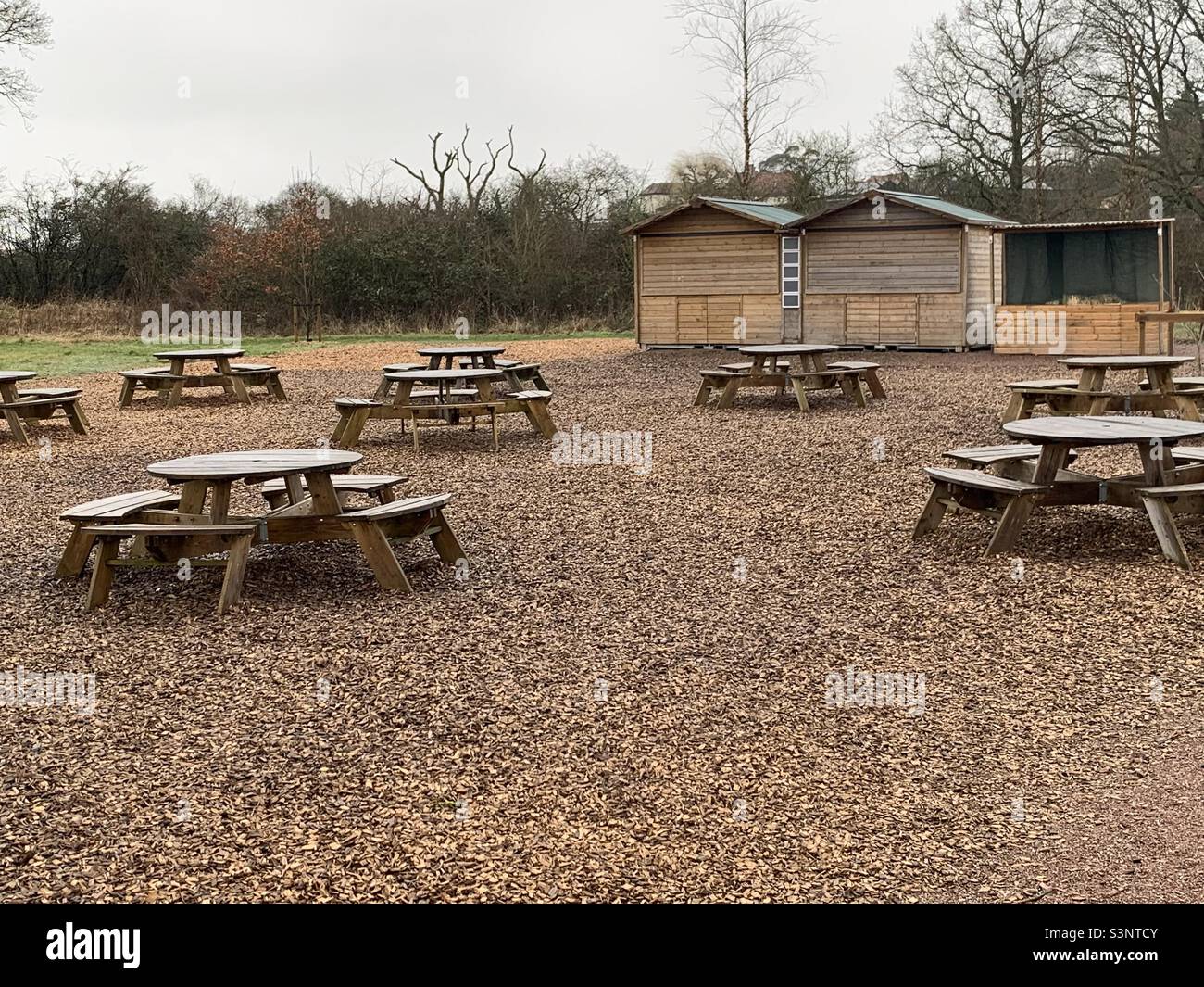 Woodland picnic table hi-res stock photography and images - Alamy