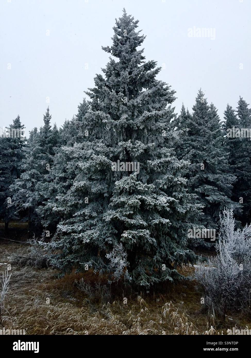 Ghost lake provincial recreation park hi-res stock photography and ...