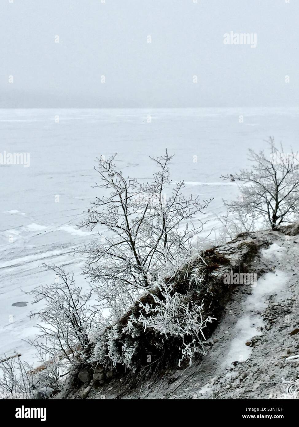 Hoar frost, Ghost Lake Provincial Recreation Park, evergreen, trees ...