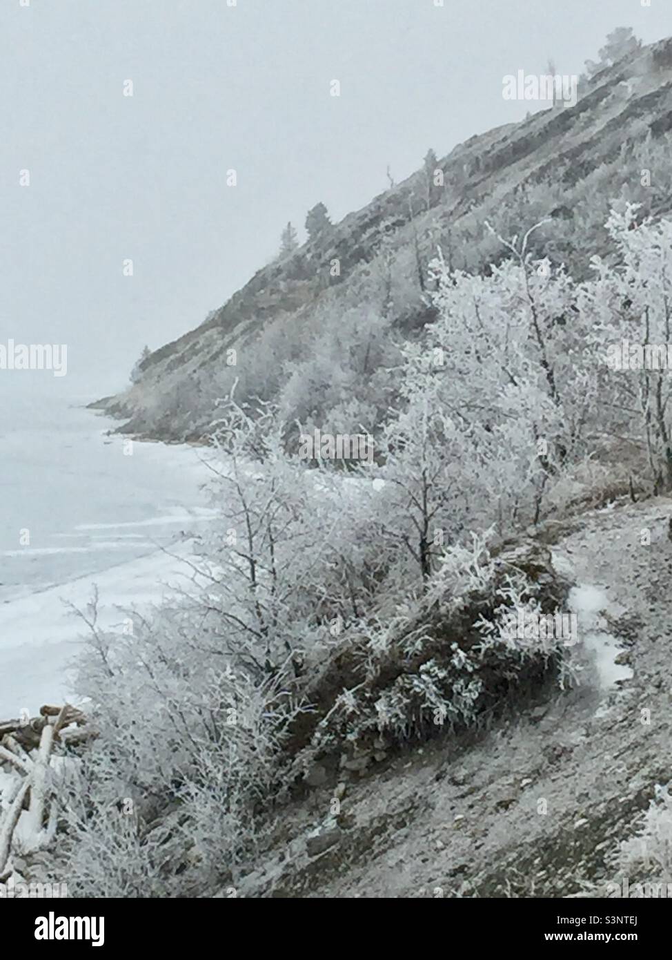 Hoar frost, Ghost Lake Provincial Recreation Park, evergreen, trees ...