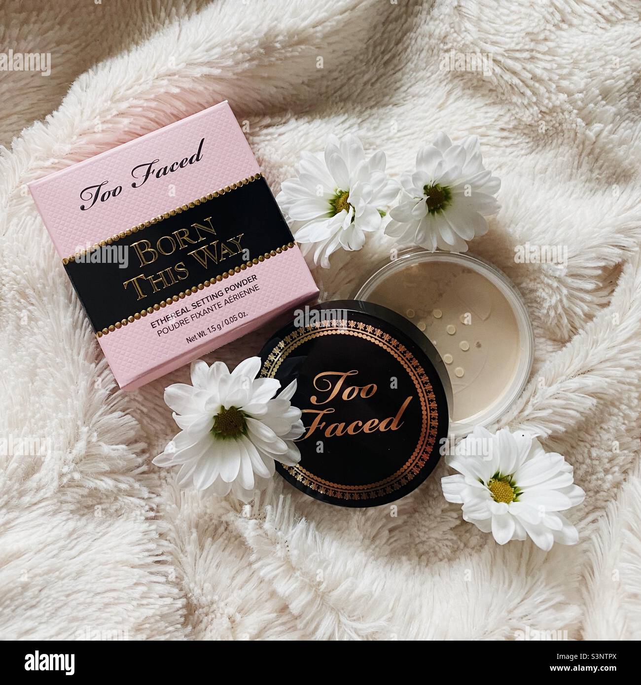 Too Faced Born This Way translucent powder Stock Photo - Alamy