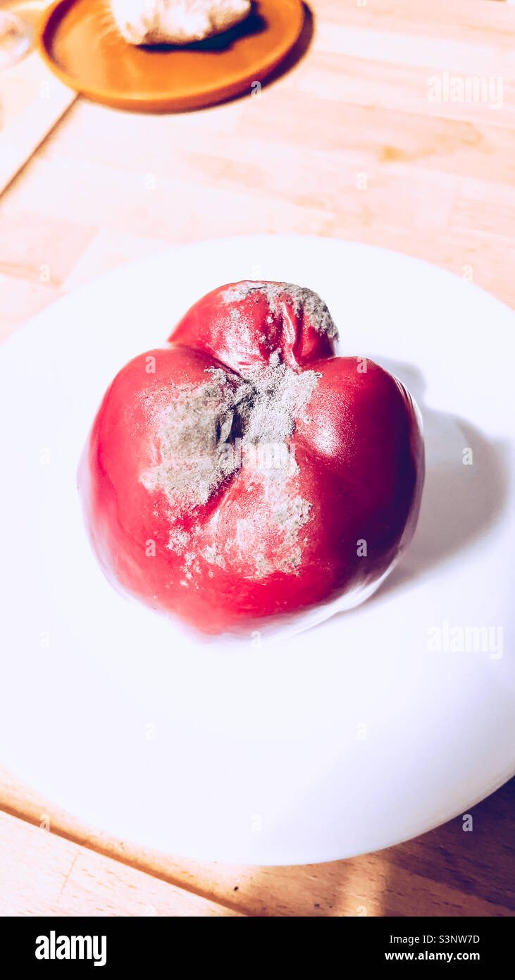 Moldy pepper hi-res stock photography and images - Alamy