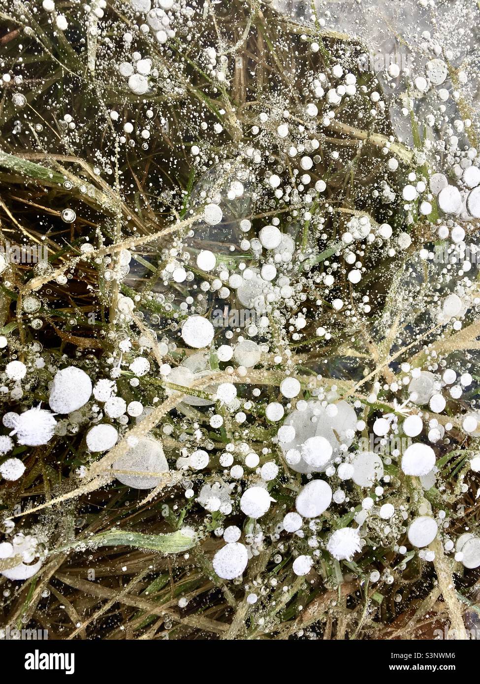 Bubbles in puddle hi-res stock photography and images - Alamy