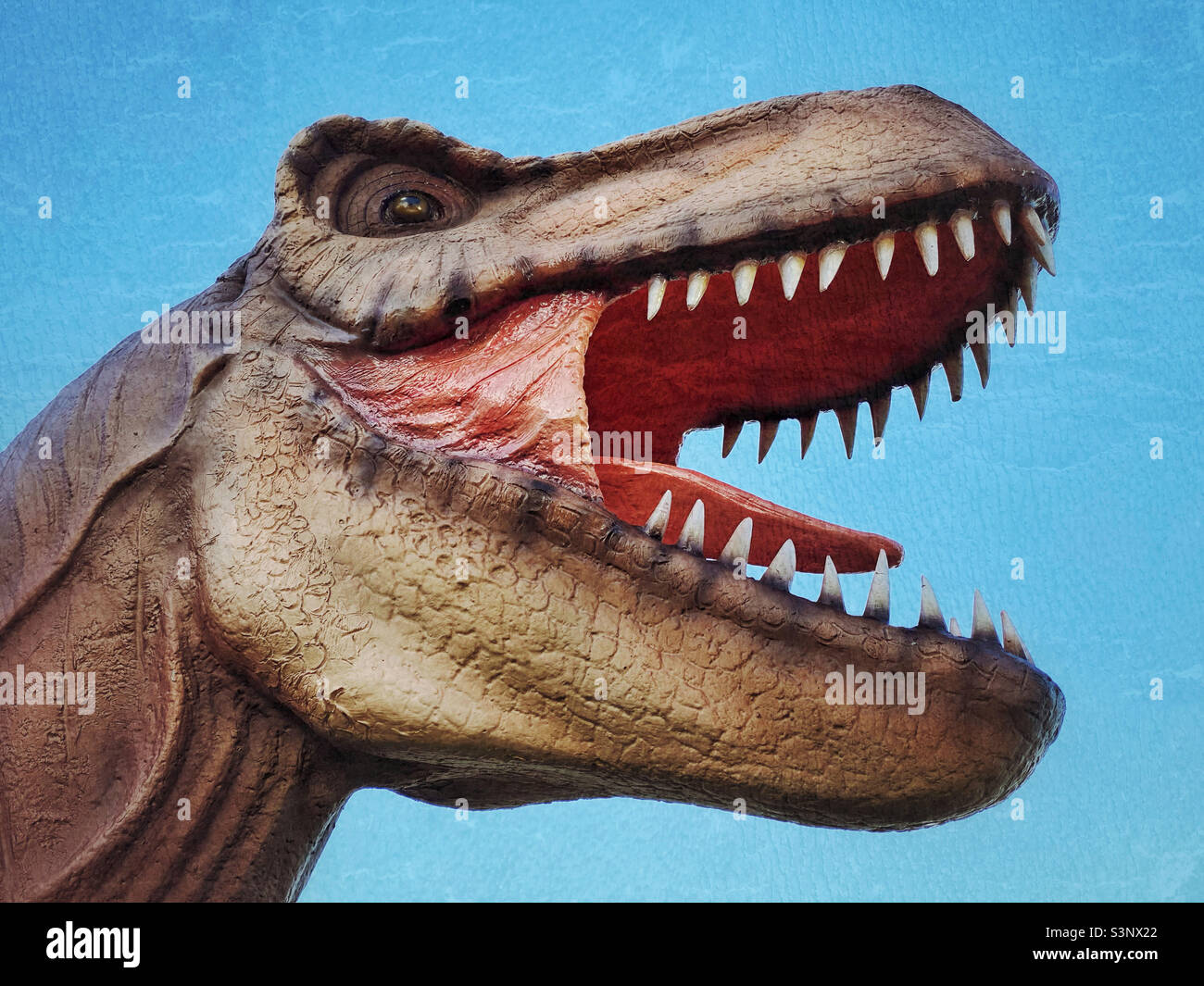 A roaring T-Rex Dinosaur portrait! Photo ©️ COLIN HOSKINS Stock Photo ...