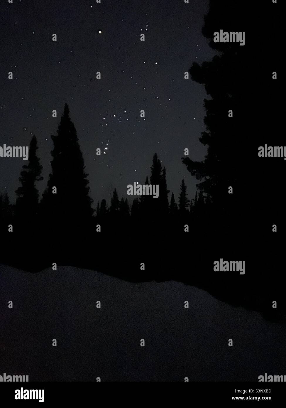 Stars at night over a snowy forest in Glennallen, Alaska Stock Photo ...