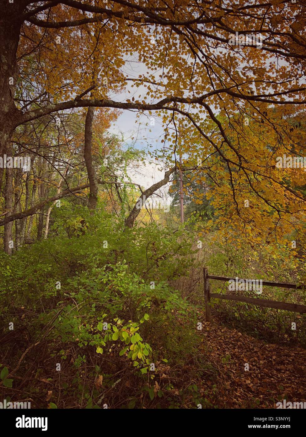 Connecticut fall color hi-res stock photography and images - Alamy