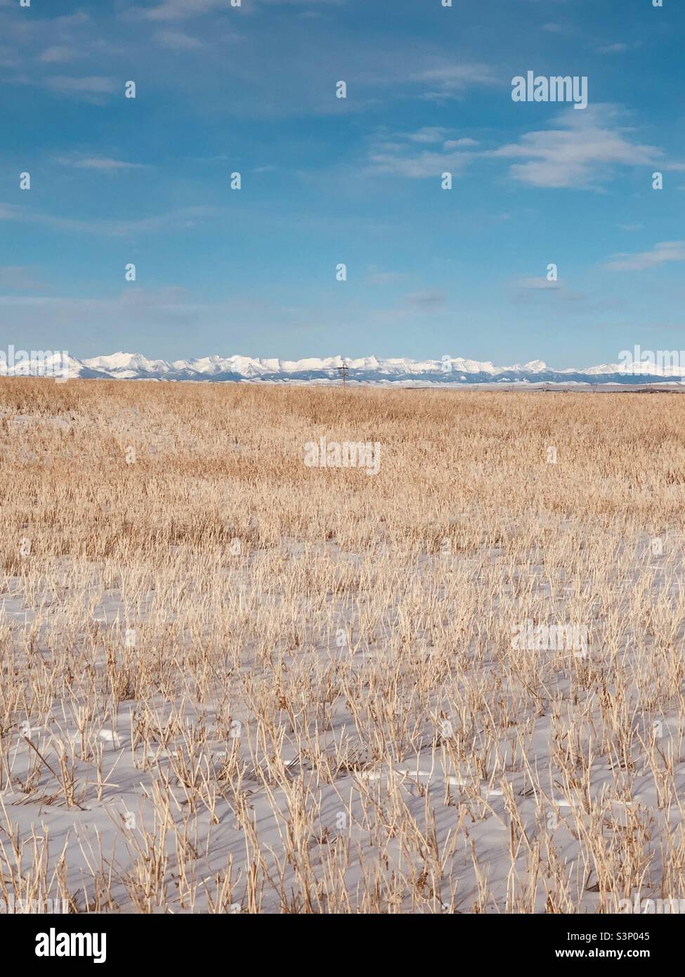 A peaceful prairie morning Stock Photo - Alamy