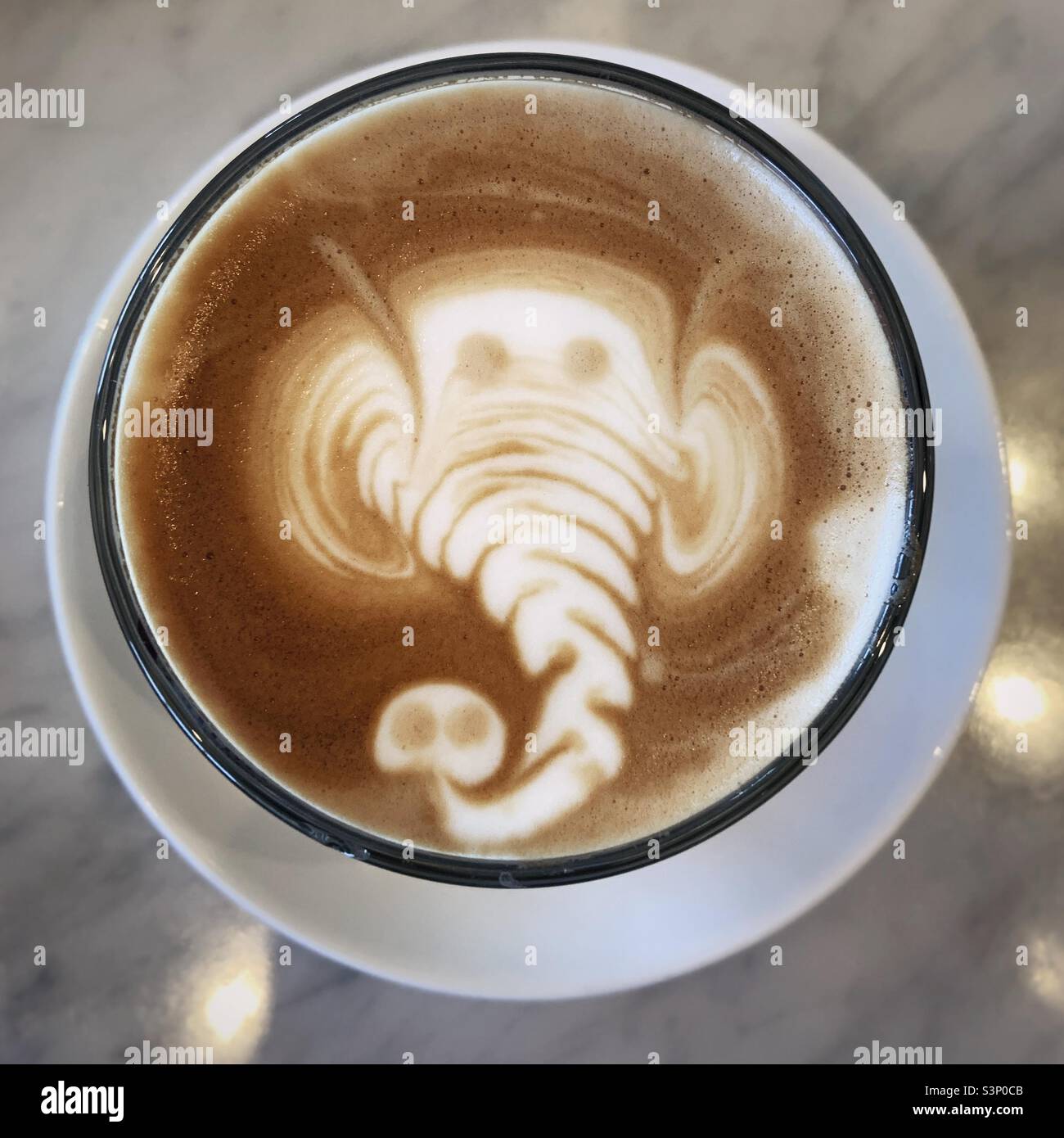 Elephant lounge hi-res stock photography and images - Alamy