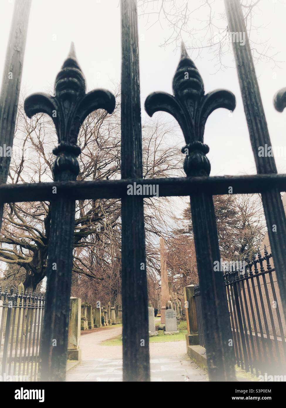 Iron cemetery entrance gates hi-res stock photography and images - Alamy