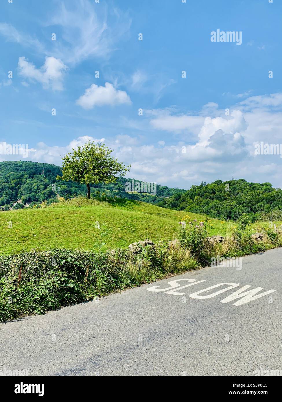 Slow tree hi-res stock photography and images - Alamy