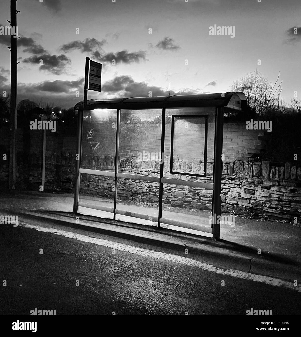‘The Bus Stop’ a rural bus stop is brightly lit, not in keeping with ...