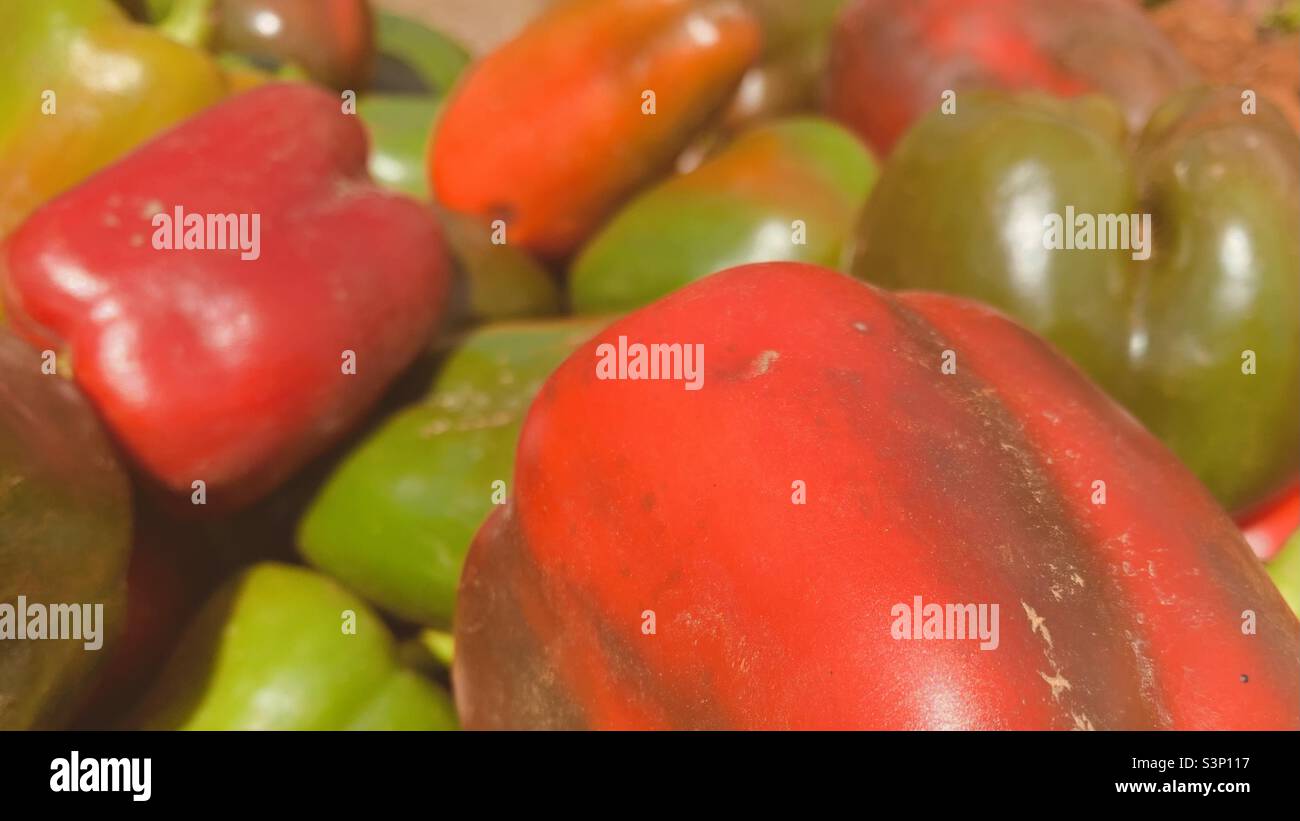 Warm colors background hi-res stock photography and images - Alamy