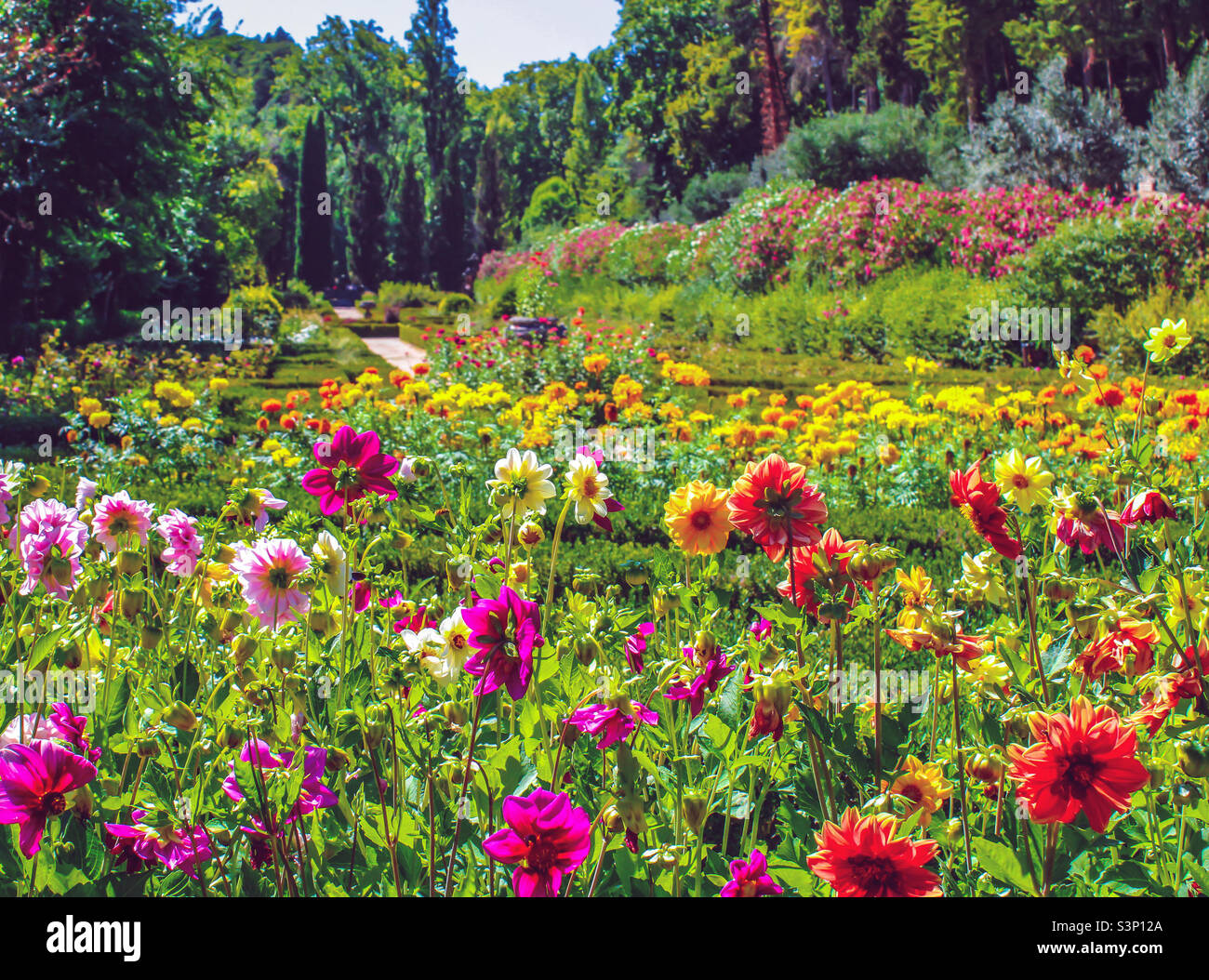 Beautiful park flowers trees hi-res stock photography and images - Alamy