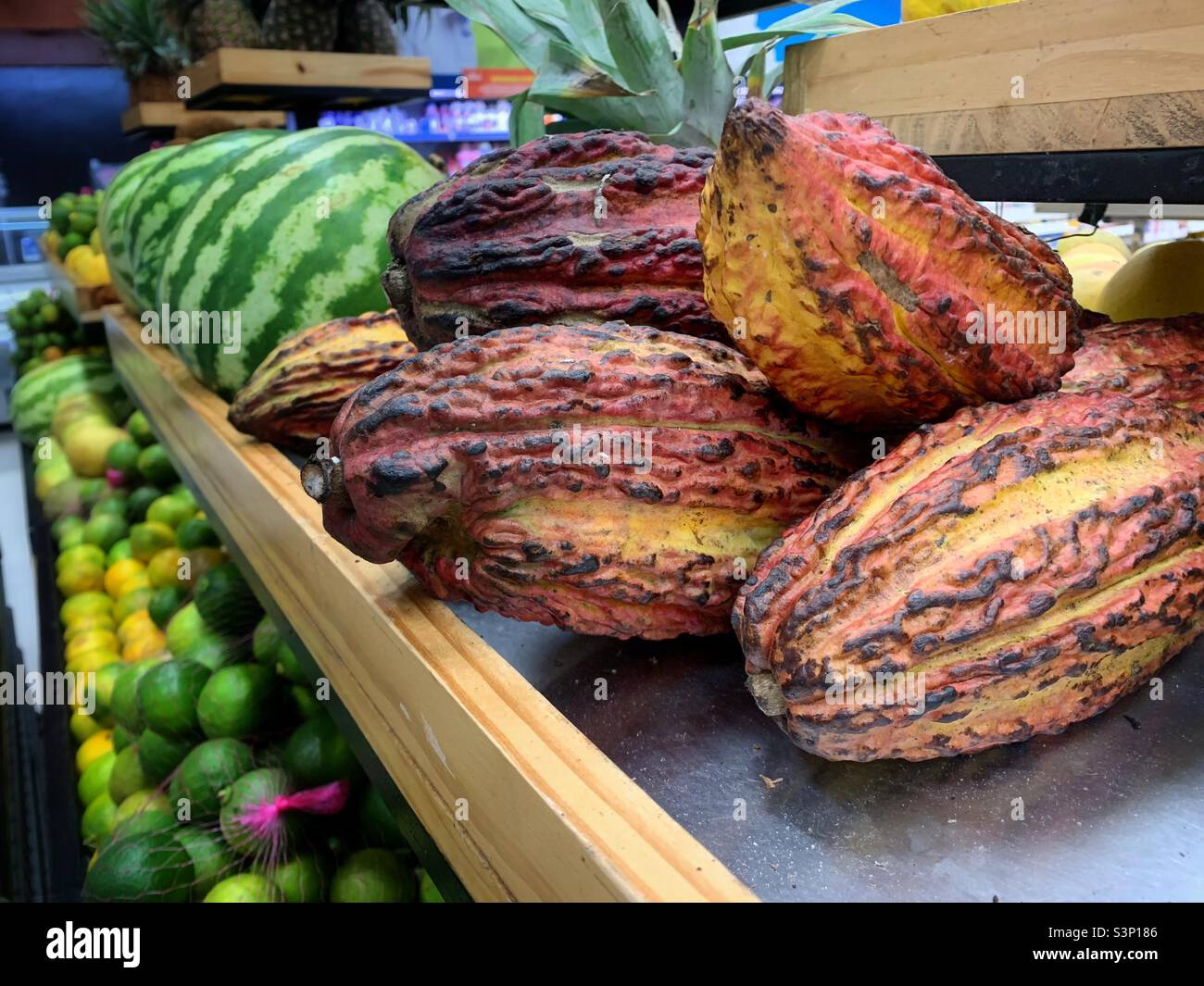 Cacao fruit hi-res stock photography and images - Alamy