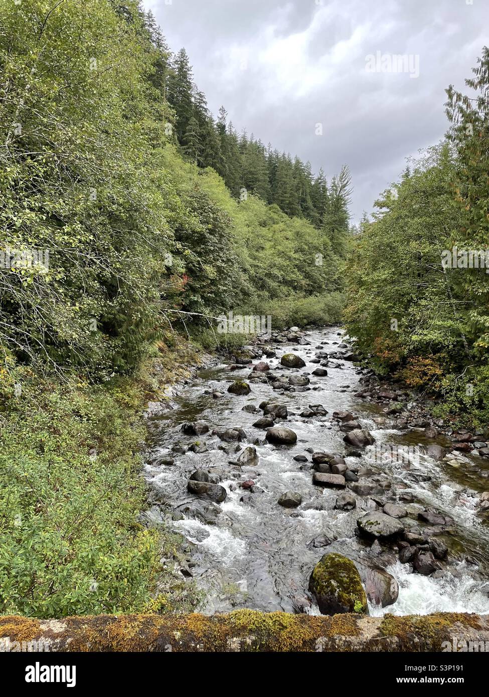 Western washington hi-res stock photography and images - Alamy