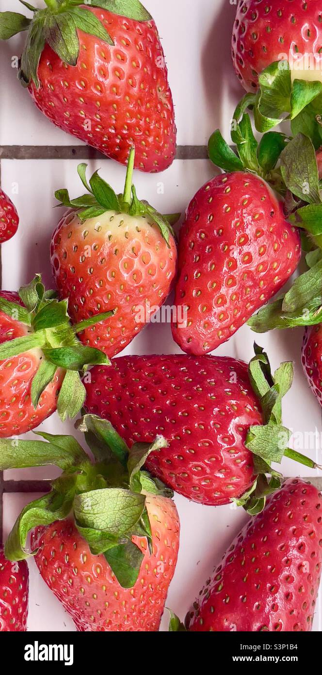 Large strawberries hi-res stock photography and images - Alamy