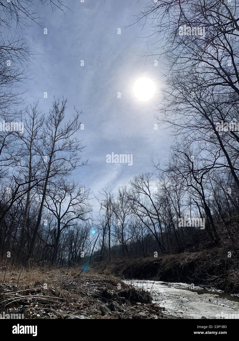 nature at its finest Stock Photo - Alamy