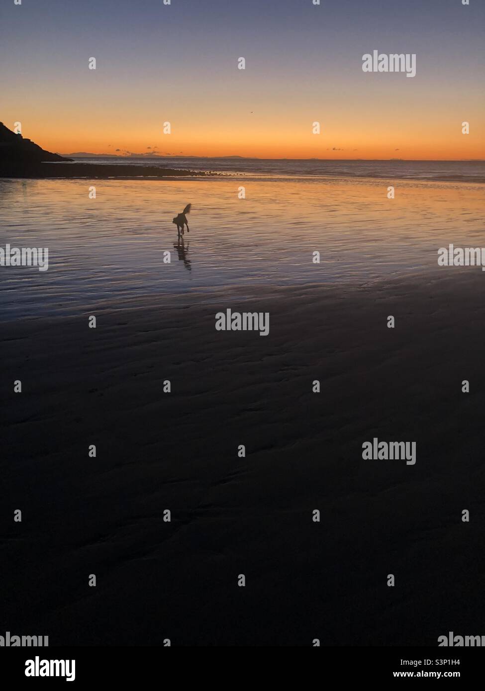 Douglas beach hi-res stock photography and images - Alamy